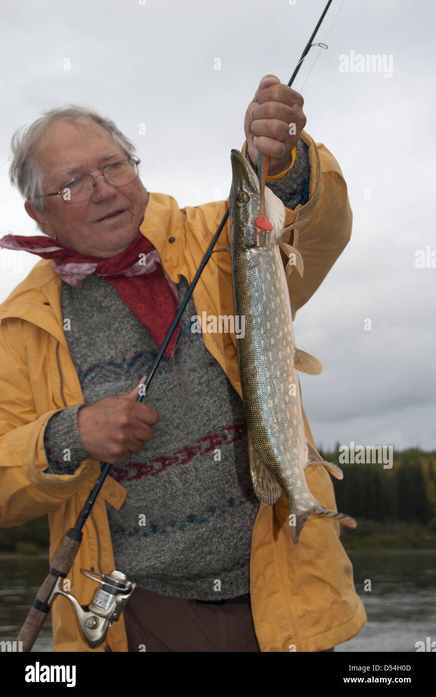 Northern Pike fishing, Athabasca River,Alberta,CA Stock Photo - Alamy