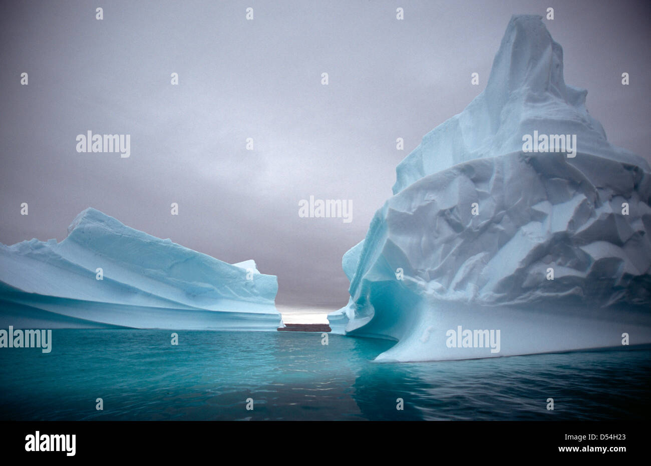 icebergs pleneau bay antarctica Stock Photo - Alamy