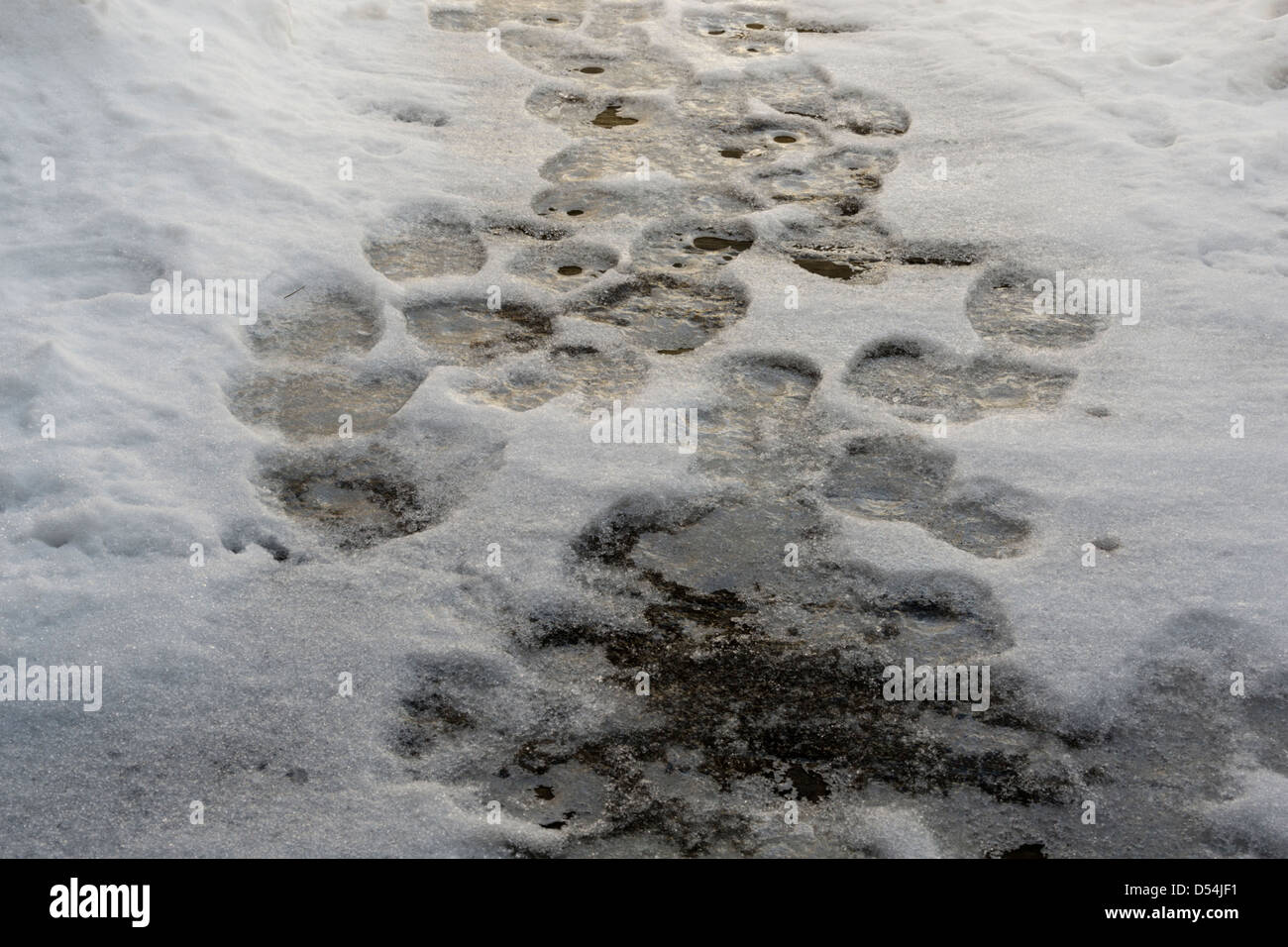 Footsteps in snow hi-res stock photography and images - Alamy