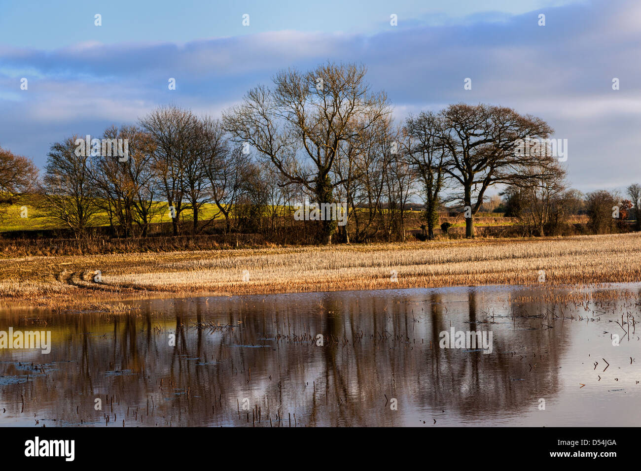 Wet farm uk hi-res stock photography and images - Alamy