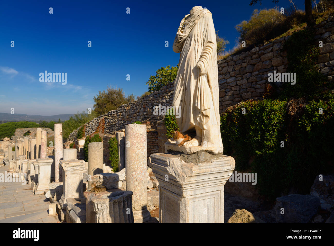 Cat statue turkey hi-res stock photography and images - Alamy