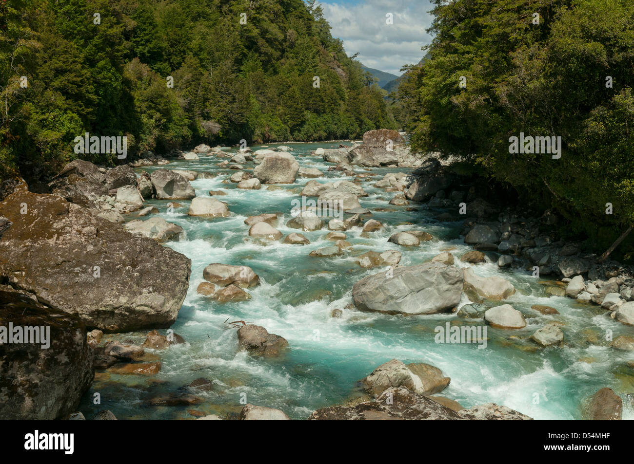 Nz creek scene hi-res stock photography and images - Alamy