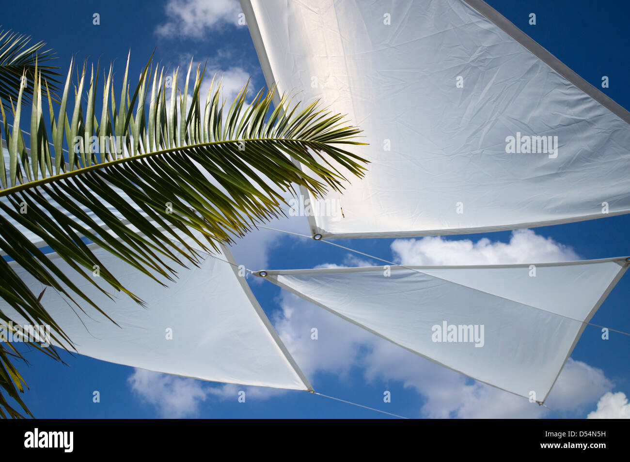 Palm trees and sails hi-res stock photography and images - Alamy