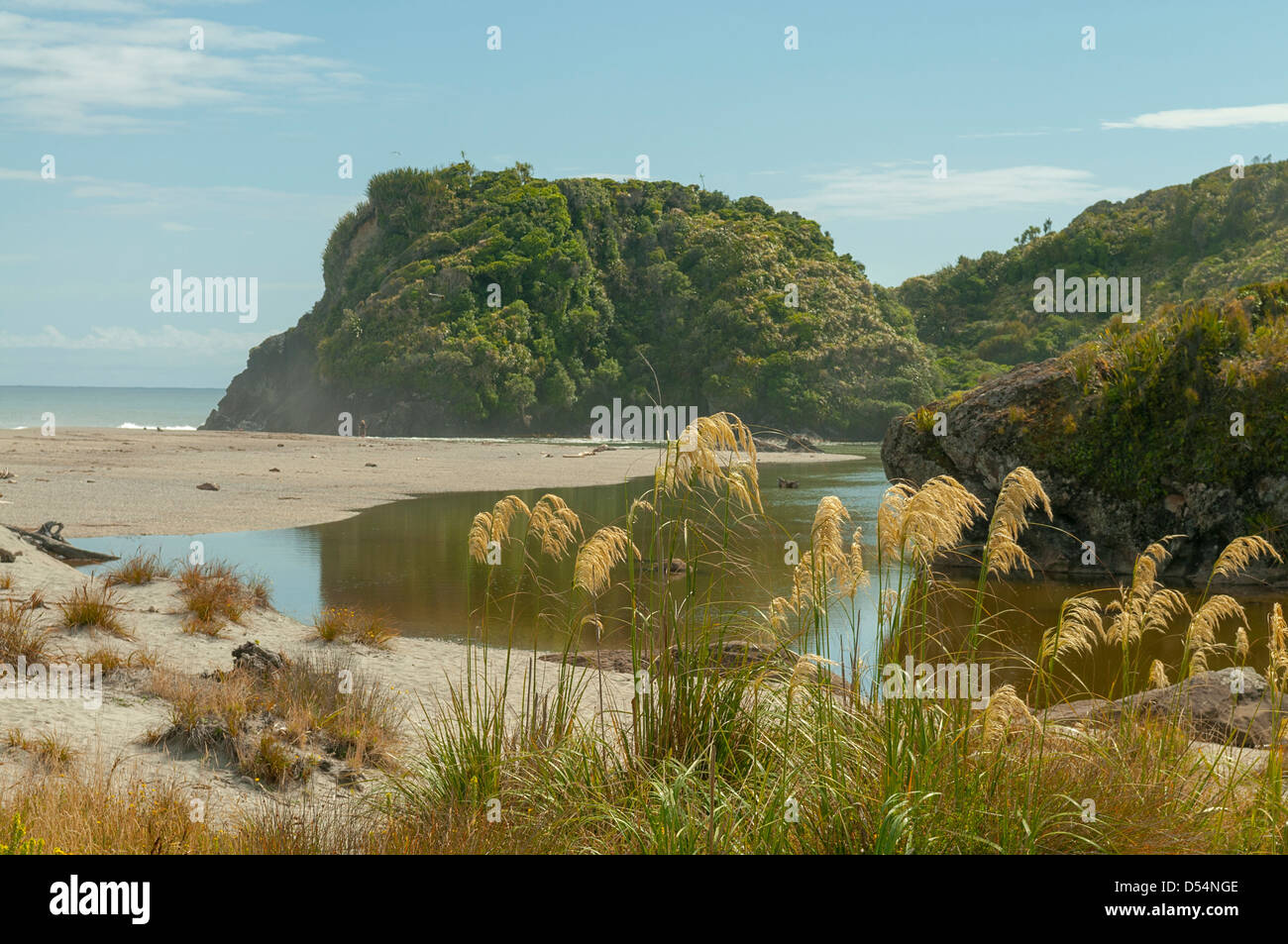 Haast new zealand hi-res stock photography and images - Alamy