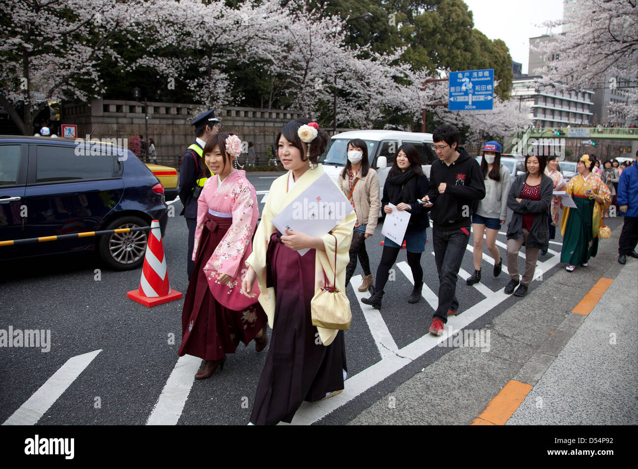Tokyo, Japan. 24th March 2013. Tokyo, Japan - Cherry blossoms bloom 10 ...