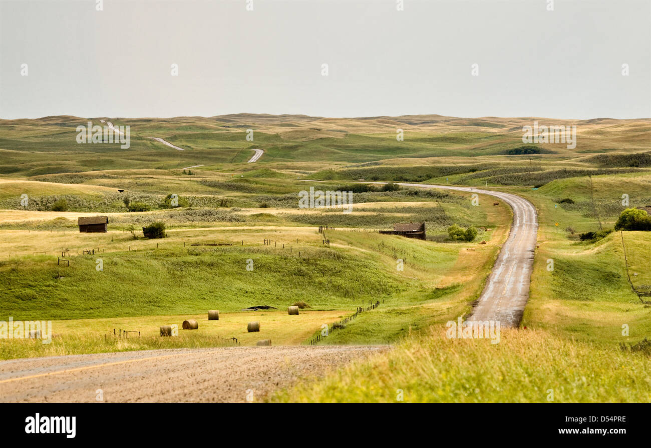 Rural Saskatchewan in summer with crops Canada Stock Photo - Alamy