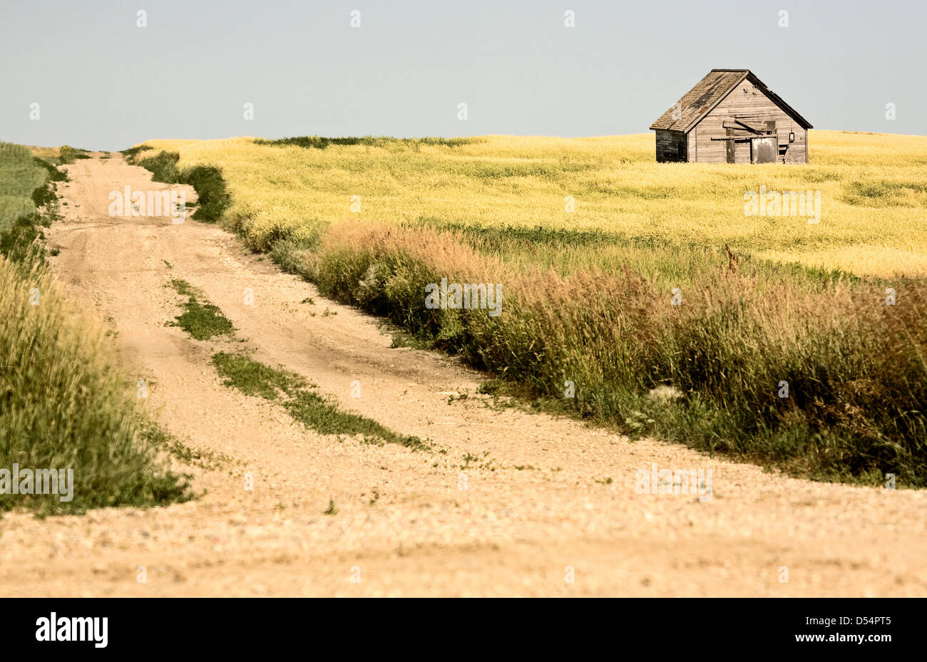 Crops prairies hi-res stock photography and images - Alamy