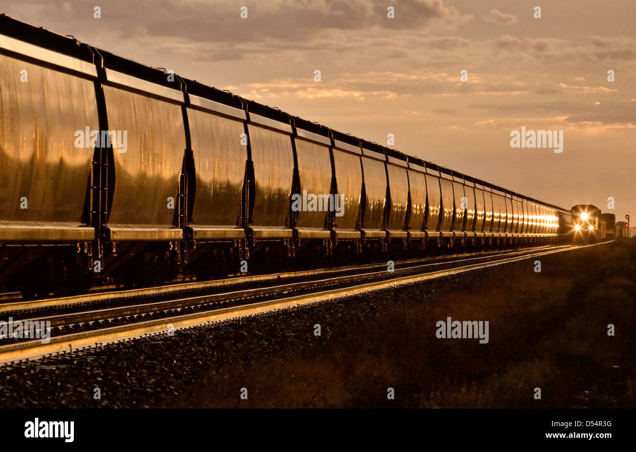Train at Sunset late day Saskatchewan Canada Stock Photo - Alamy