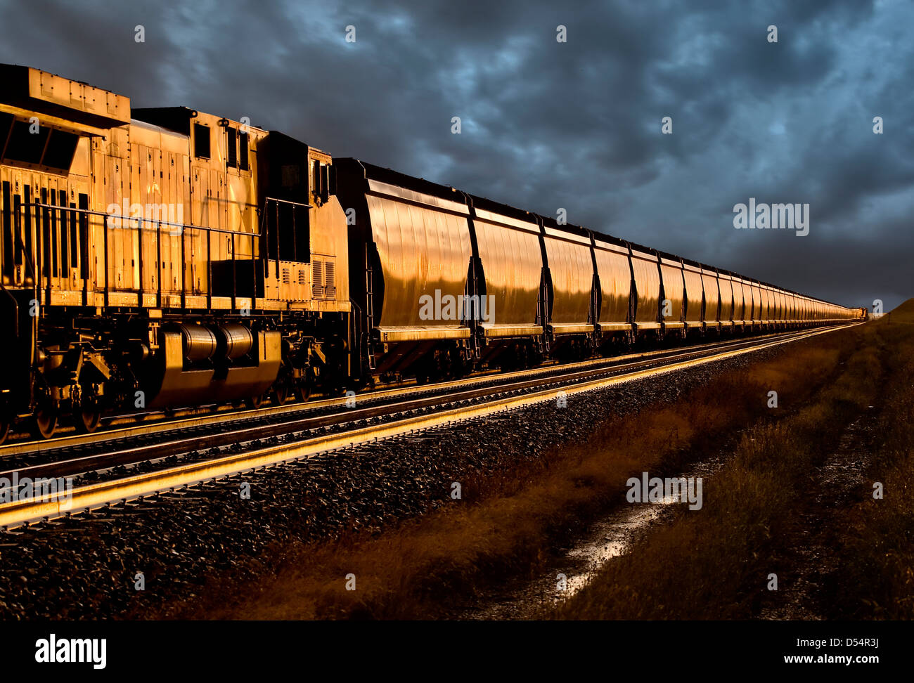 Train at Sunset late day Saskatchewan Canada Stock Photo - Alamy