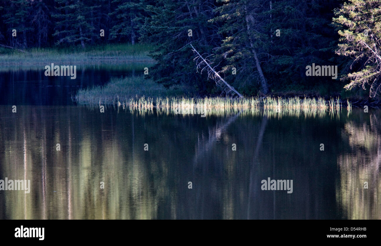 Reesor lake hi-res stock photography and images - Alamy