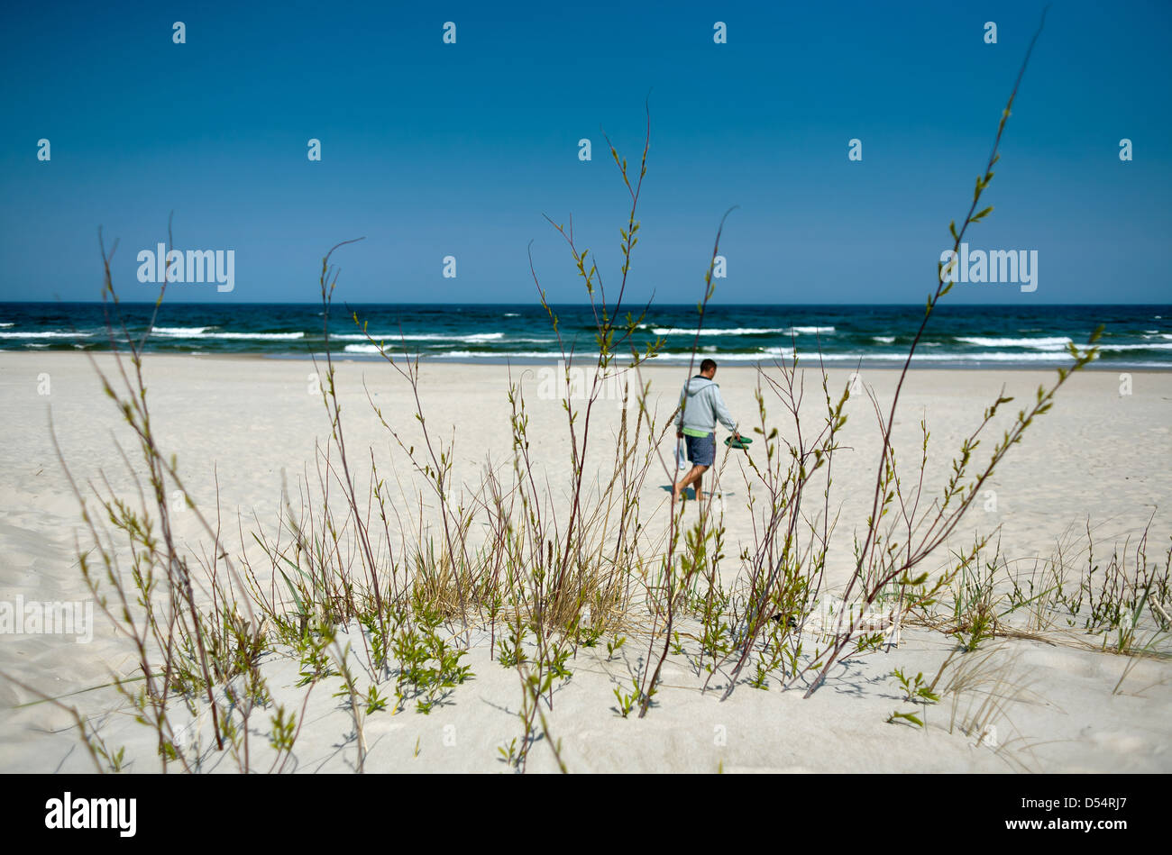 Field and beach hi-res stock photography and images - Alamy