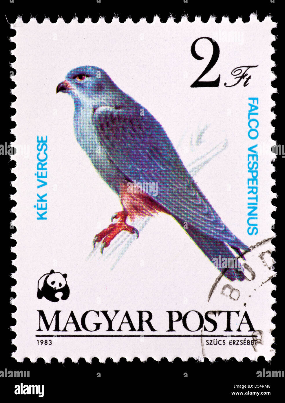Postage stamp from Hungary depicting Red-footed Falcon (Falco ...