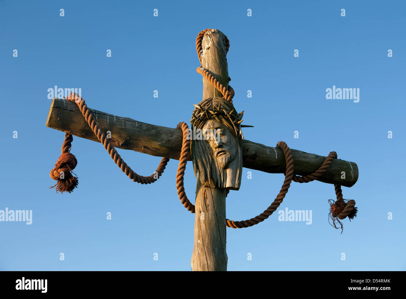 Pomeranian cross hi-res stock photography and images - Alamy