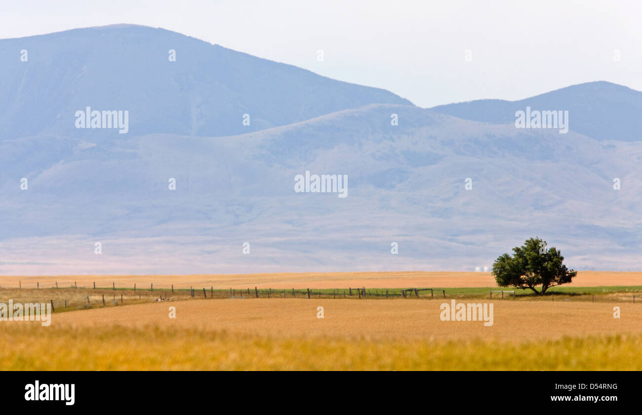 Southern Alberta Rural Scene Prairie near Montana Milk River Stock ...