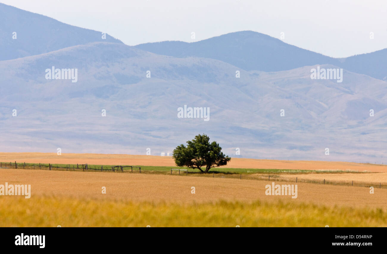 Southern Alberta Rural Scene Prairie near Montana Milk River Stock ...