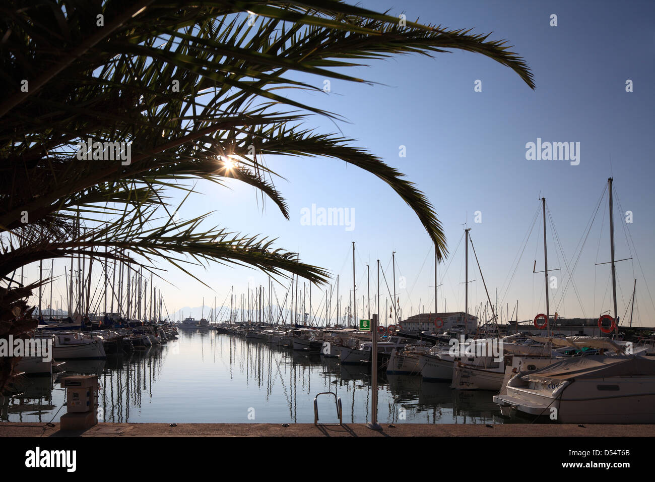 Puerto Pollensa, Spain, marina in Mallorca Stock Photo - Alamy