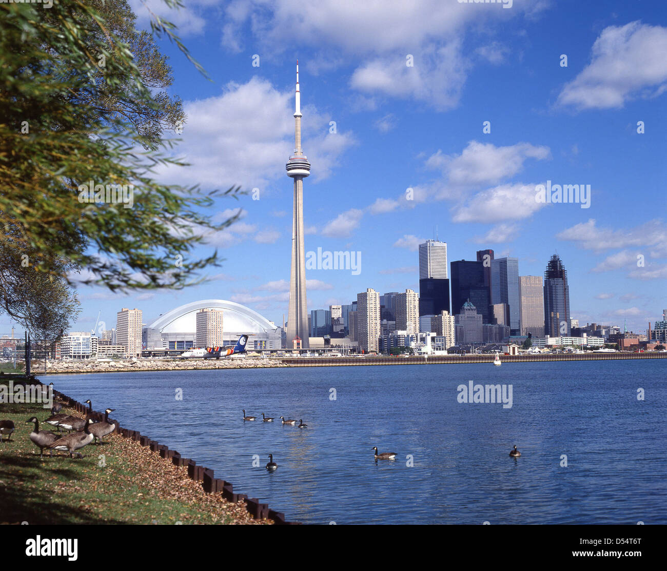 City view showing CN Tower from The Toronto Islands, Toronto, Ontario ...