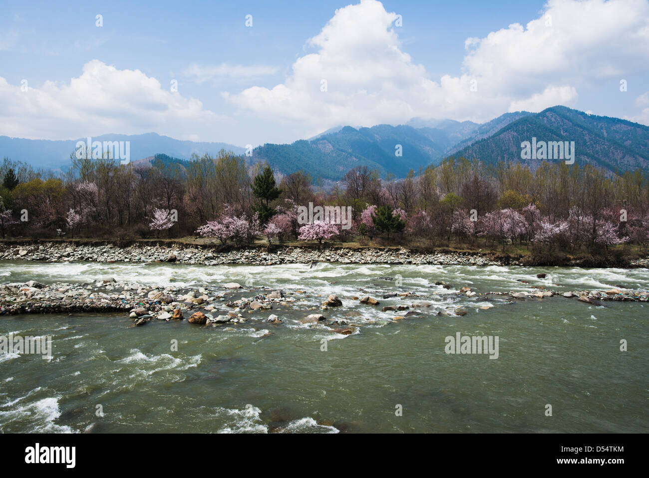 Pahalgam river hi-res stock photography and images - Alamy
