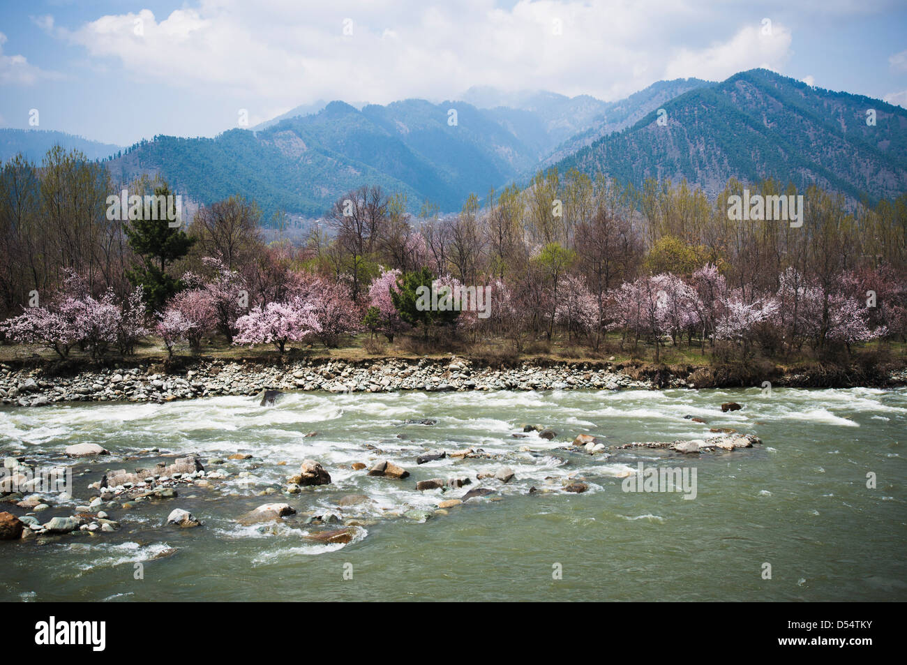 River with mountain range in the background, Pahalgam, Jammu And ...