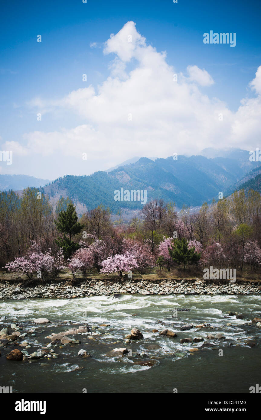River with mountain range in the background, Pahalgam, Jammu And ...
