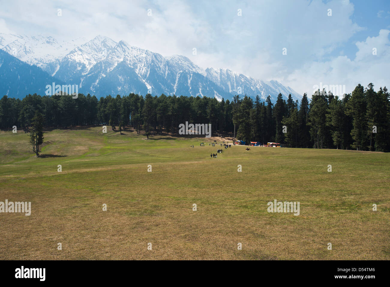 Trees on a landscape with mountain range in the background, Pahalgam ...