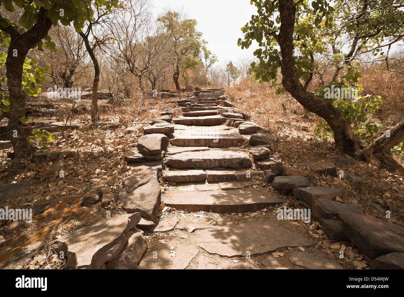 Pathway at Buddhist pilgrimage site, Sanchi, Madhya Pradesh, India ...