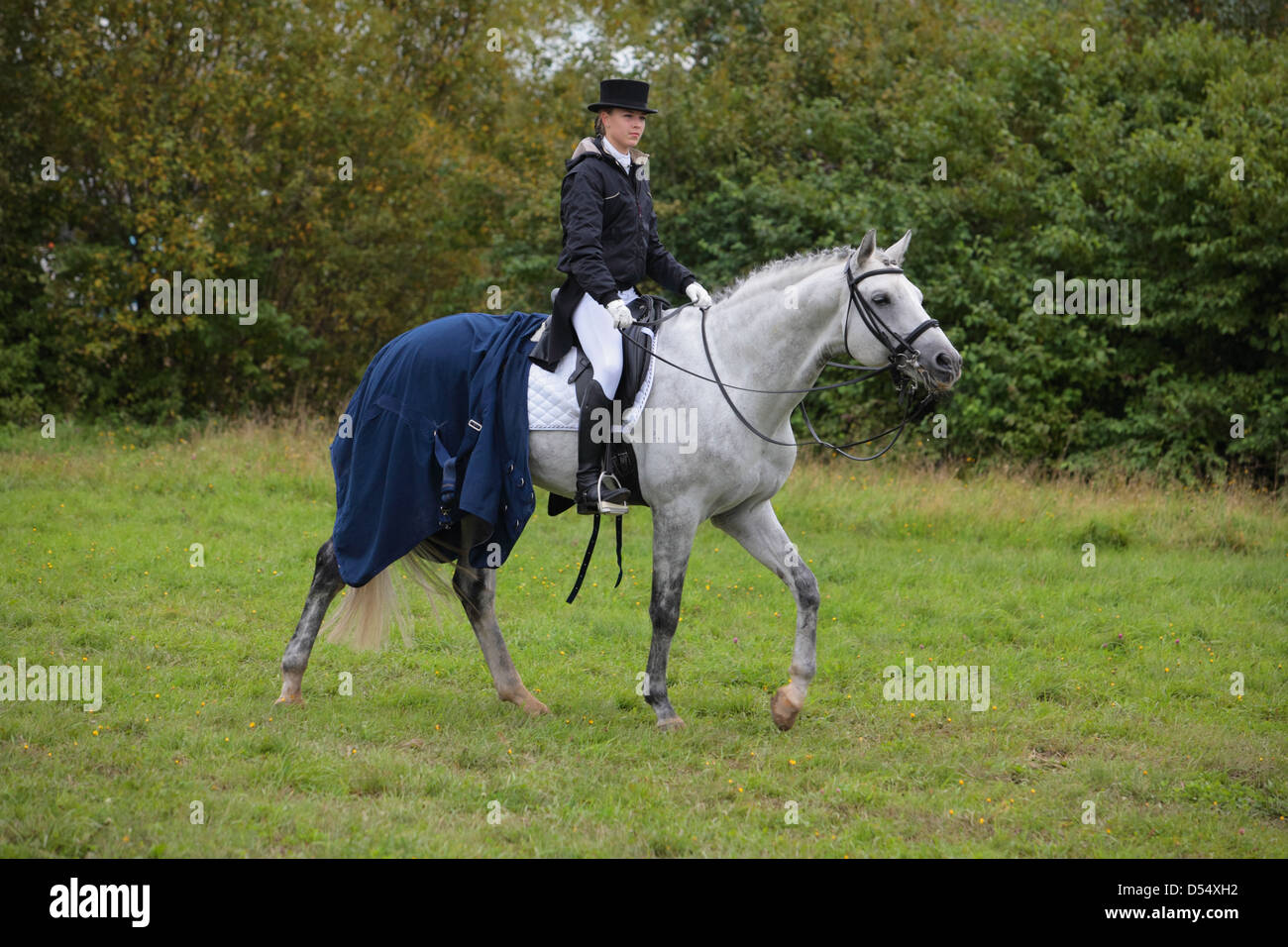 Riding horse school hi-res stock photography and images - Alamy