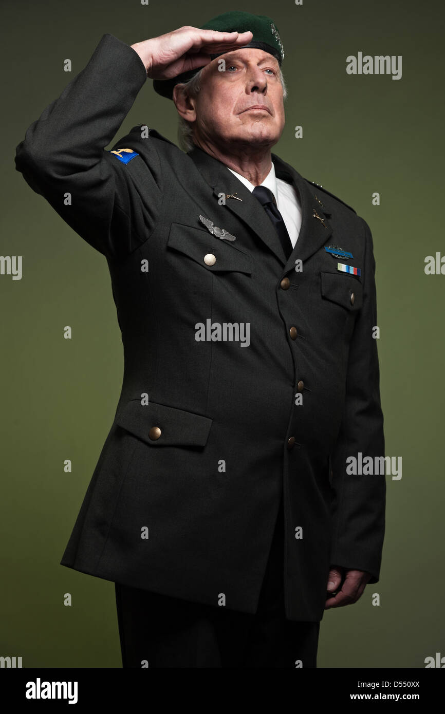 Military salutation hi-res stock photography and images - Alamy