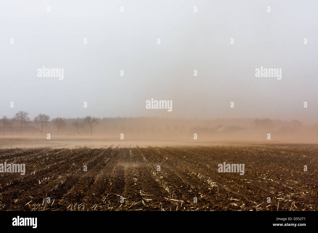 Sandstorm hi-res stock photography and images - Alamy