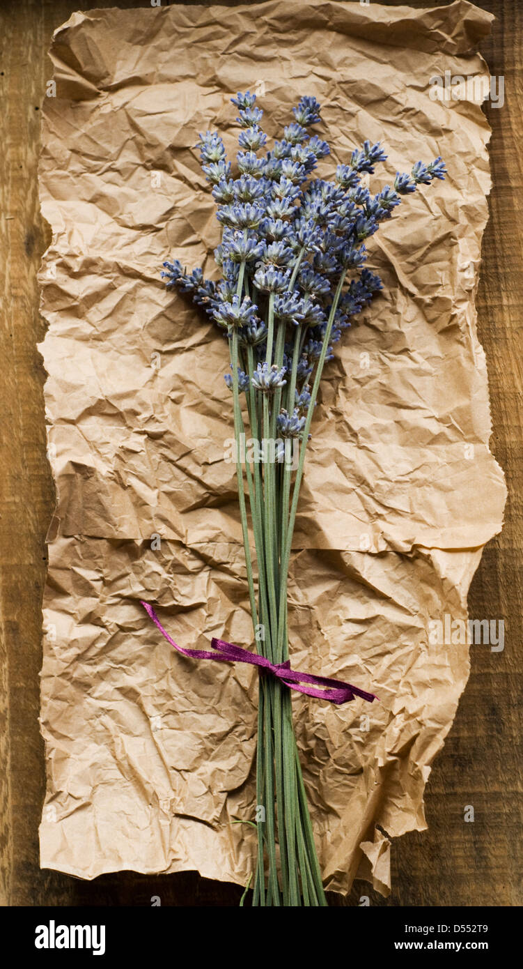 Lavender card hi-res stock photography and images - Alamy