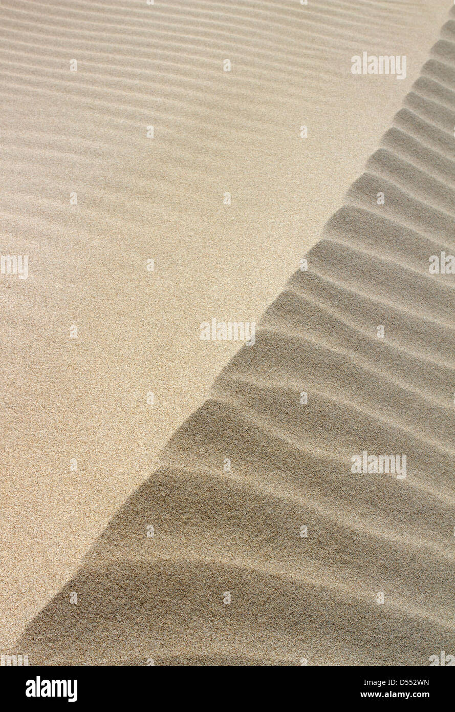 Ripples at the crest of a sand dune Stock Photo - Alamy