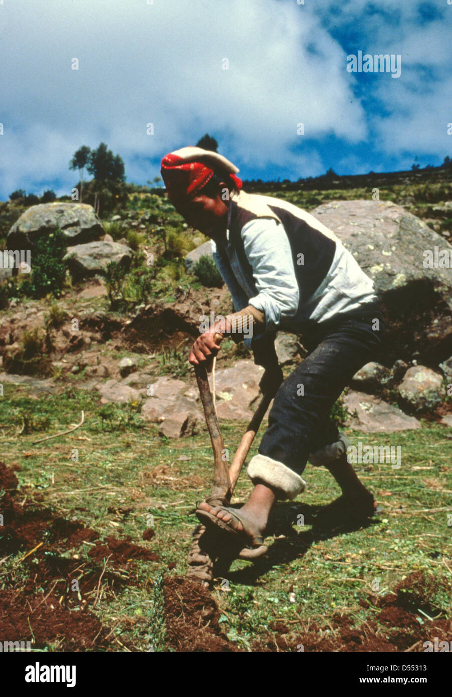 Native quechua man tilling land in Taquile island, Lake Titicaca. Peru ...