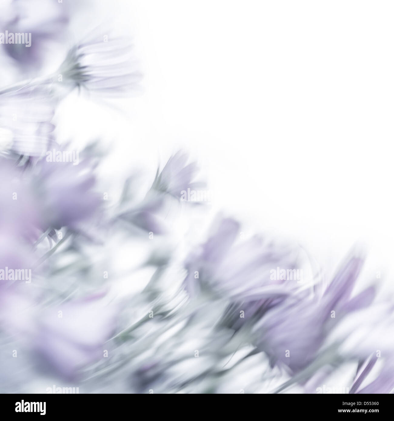 Abstract flowers background hi-res stock photography and images - Alamy