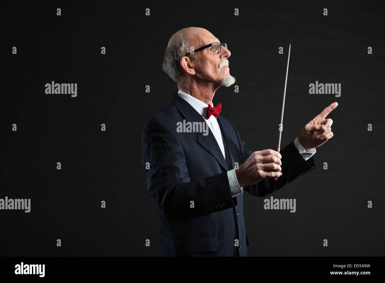 Senior conductor wearing suit. Studio shot Stock Photo - Alamy