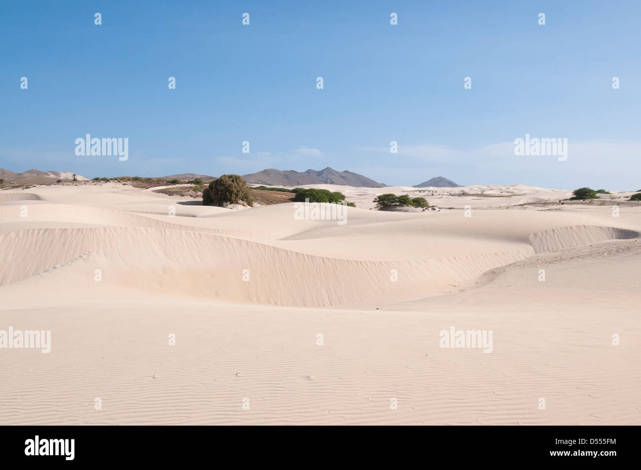 Sand dunes in desert landscape Stock Photo - Alamy