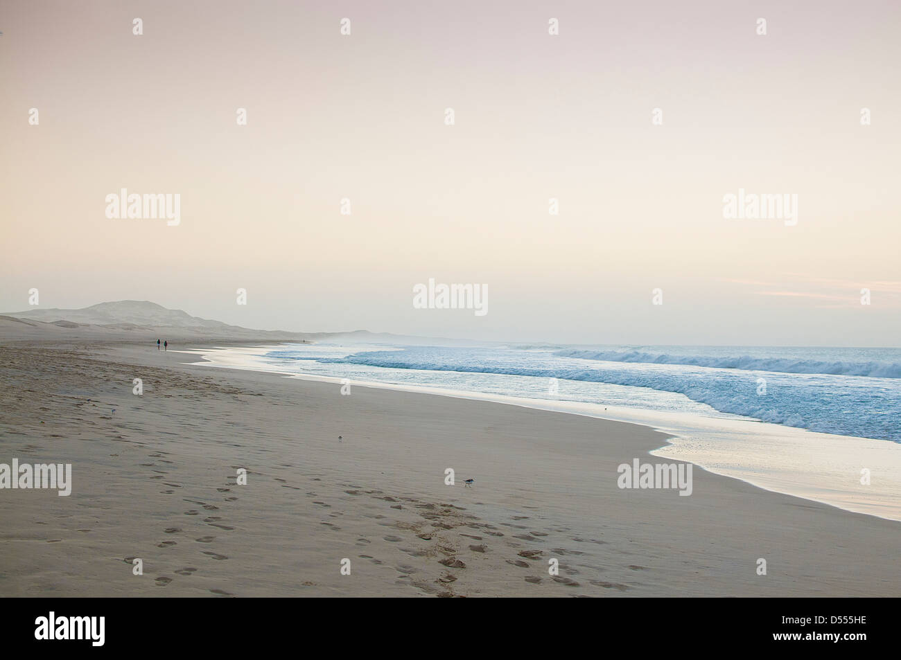 Wave washing seacoast in morning hi-res stock photography and images ...
