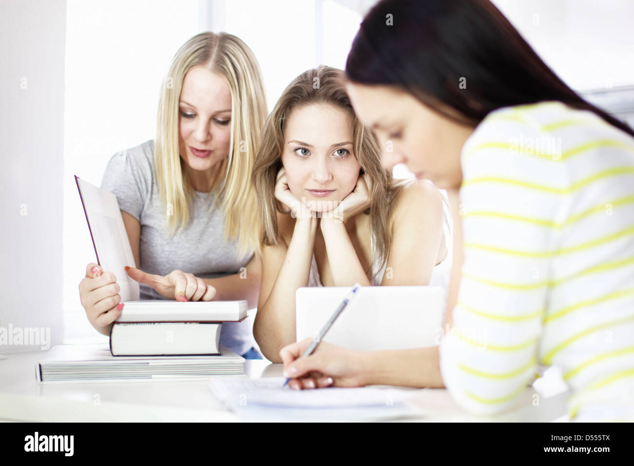 Teenage girls studying together Stock Photo - Alamy