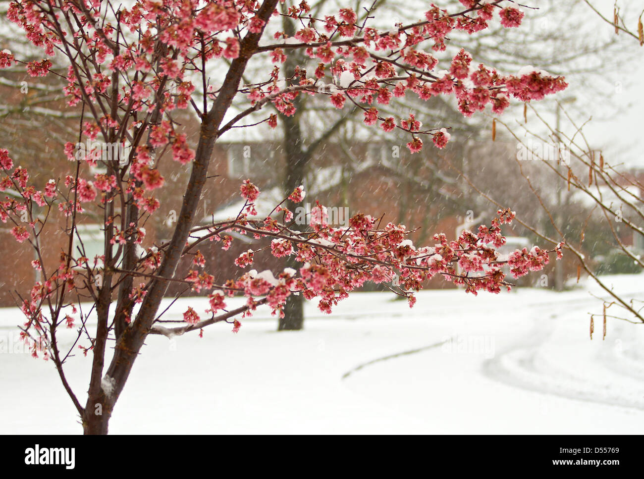 Flaky snow hi-res stock photography and images - Alamy
