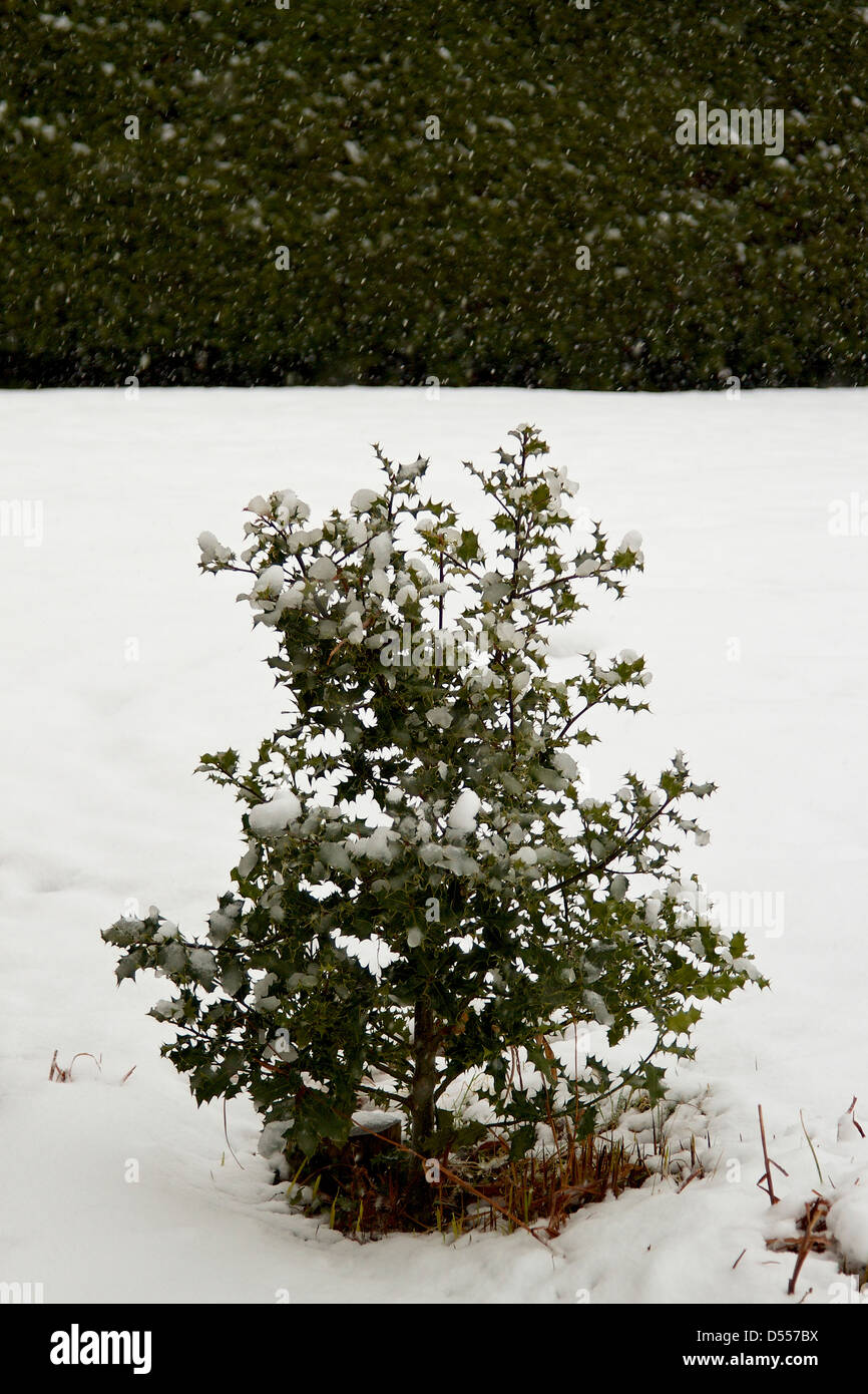 snow in springtime Stock Photo - Alamy