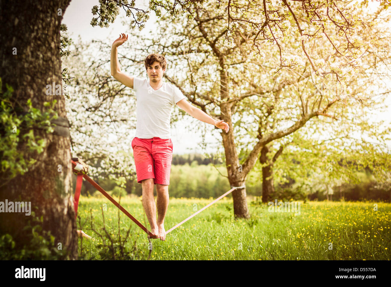 Man walking on tightrope in field Stock Photo - Alamy
