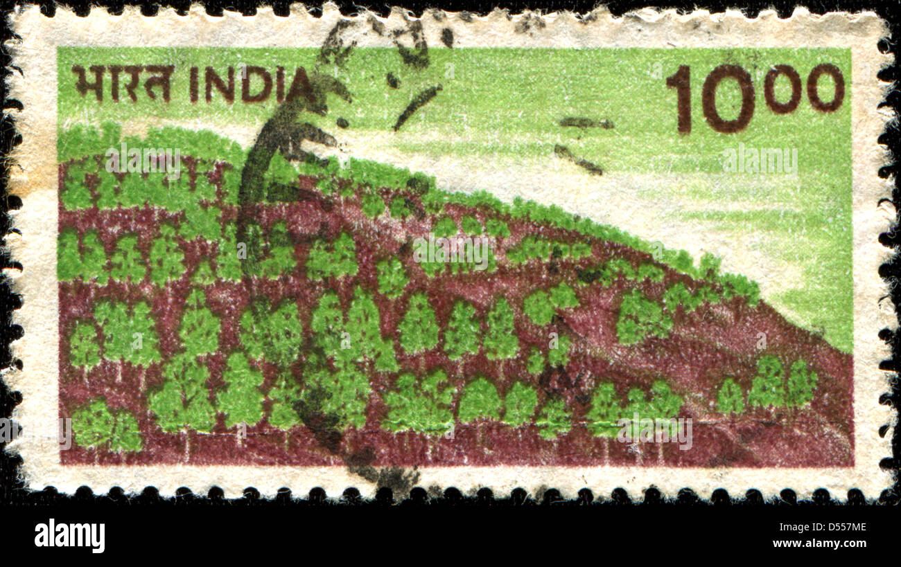 INDIA - CIRCA 1979: A stamp printed in India shows a forest on the ...