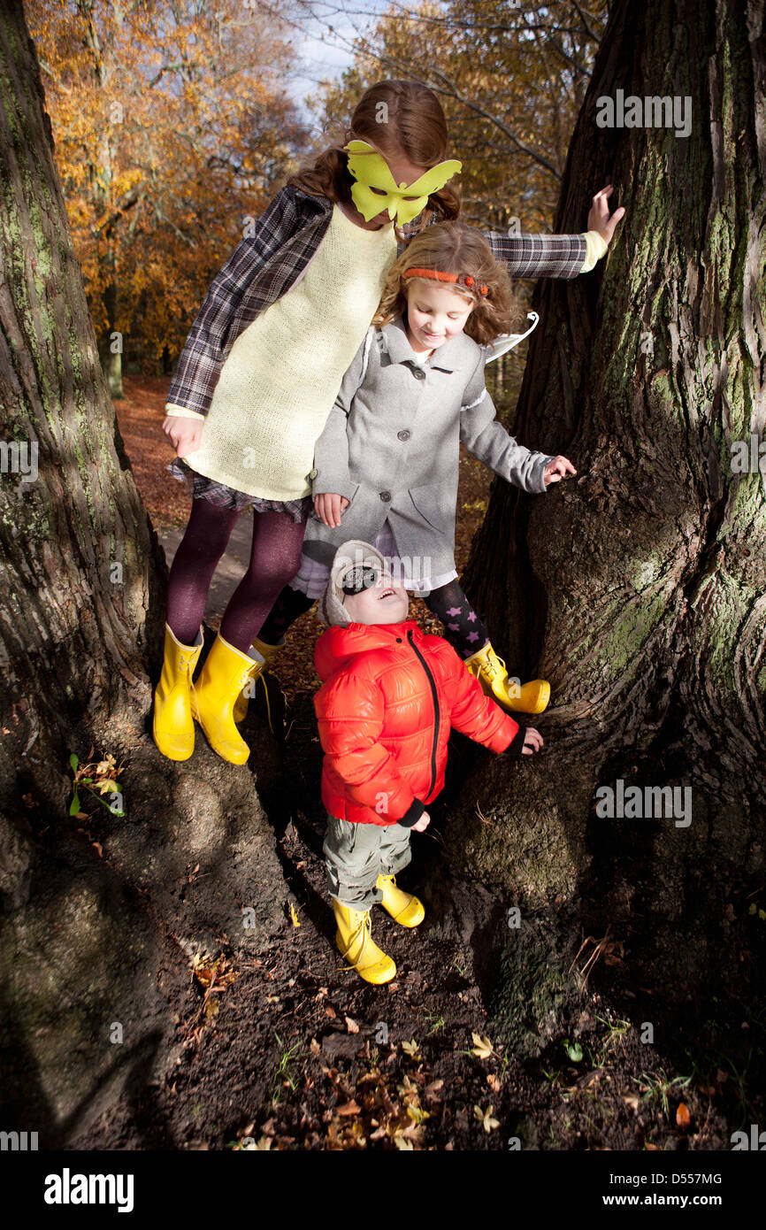 Children playing together in tree Stock Photo - Alamy