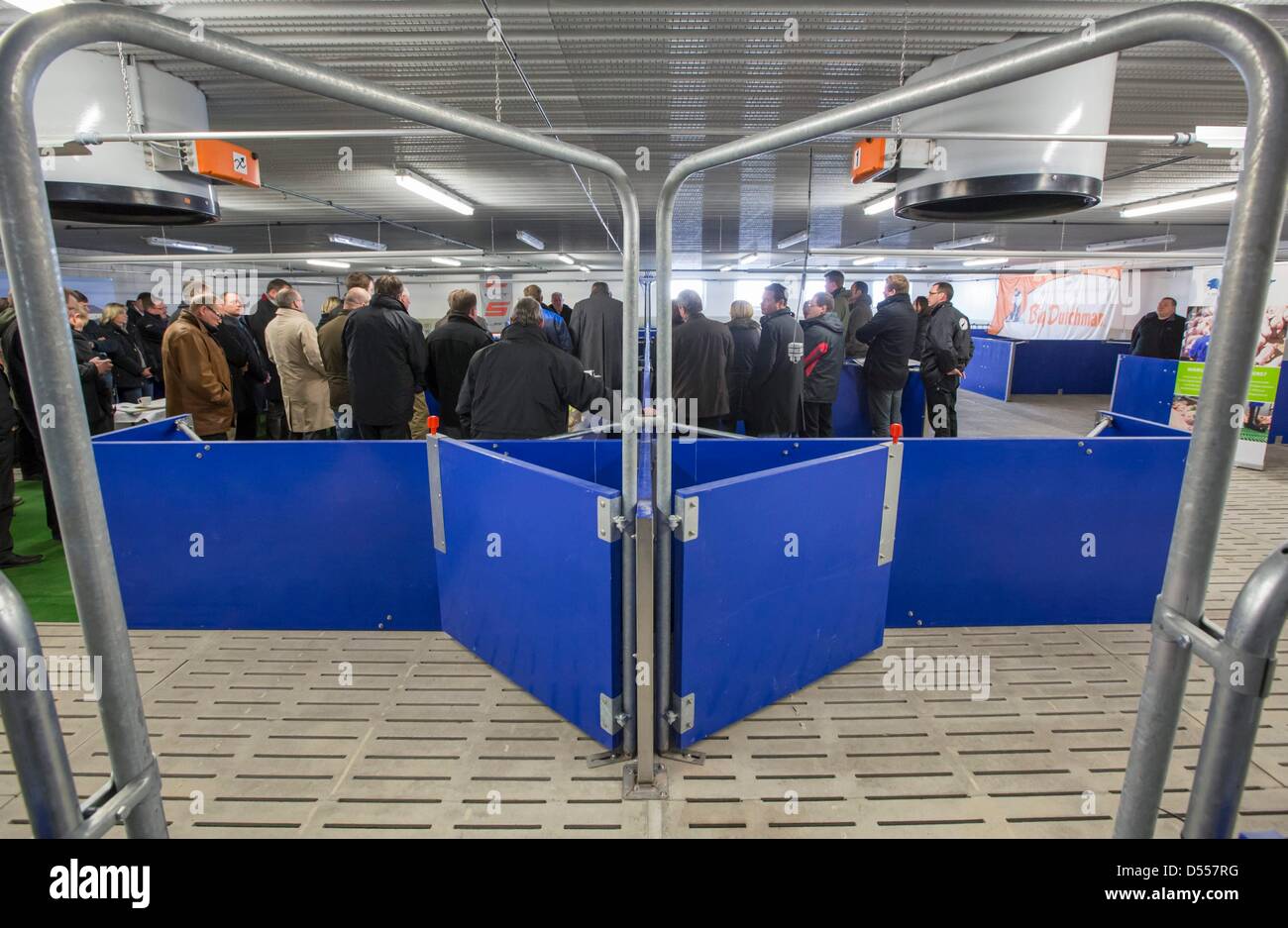 Visitors observe the new facilities of the pig farm in Wiegleben ...