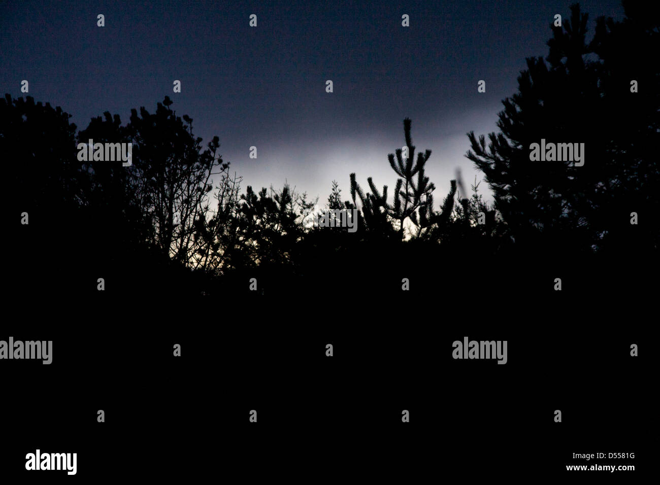 Night scenario hi-res stock photography and images - Alamy