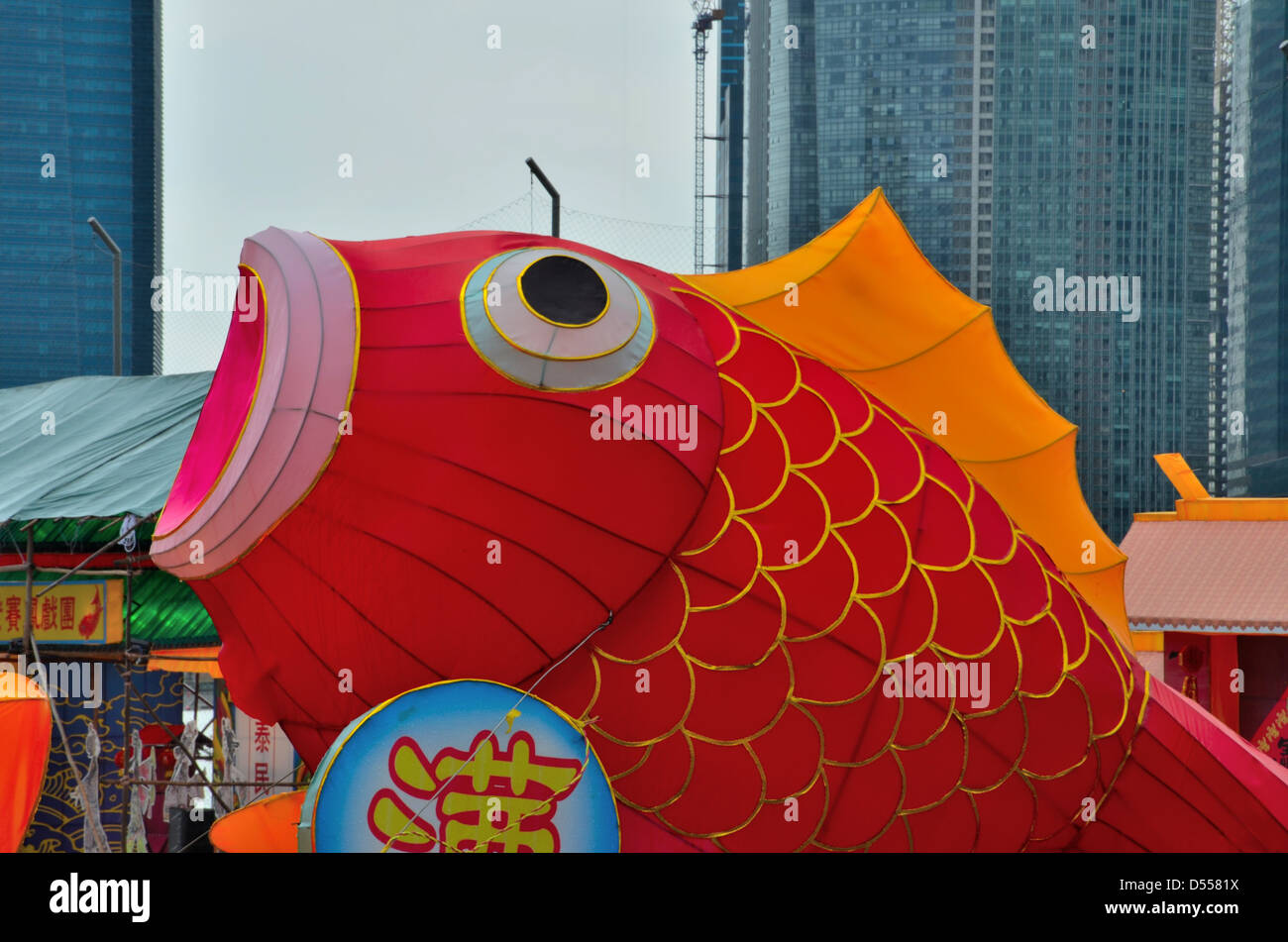 Good Luck Fish High Resolution Stock Photography and Images - Alamy