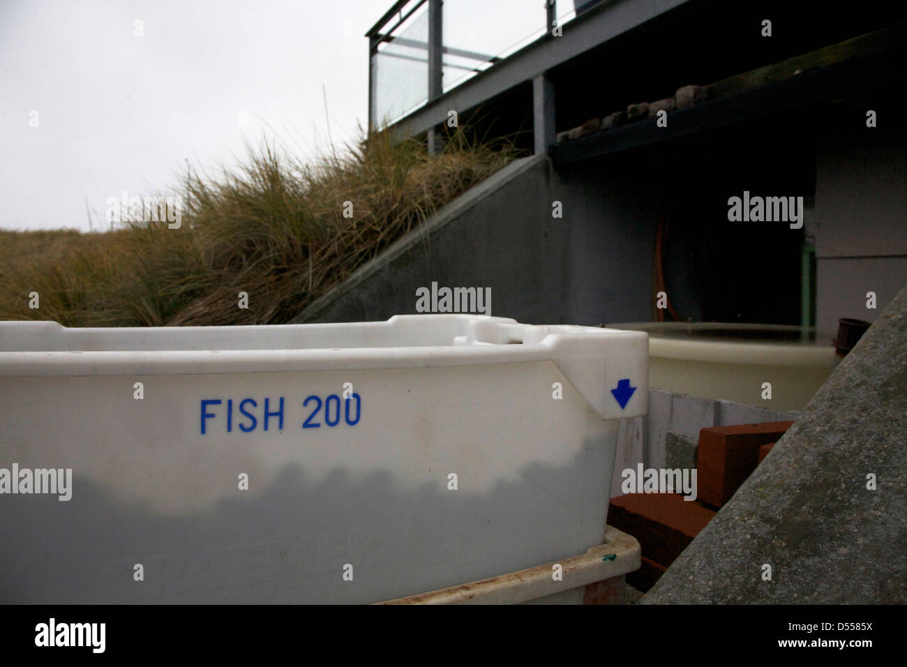 Fish 200 hi-res stock photography and images - Alamy