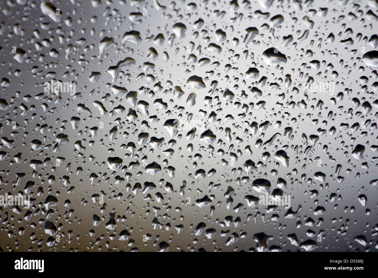 Raindrops on the glass of the window Stock Photo - Alamy