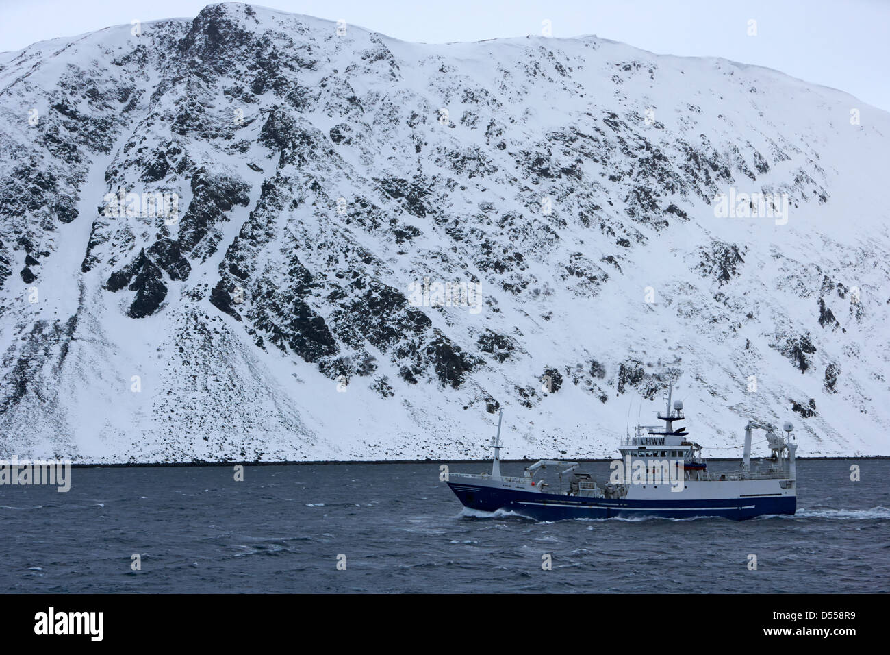 km ostervold purse seiner pelagic trawler sailing past snow covered ...