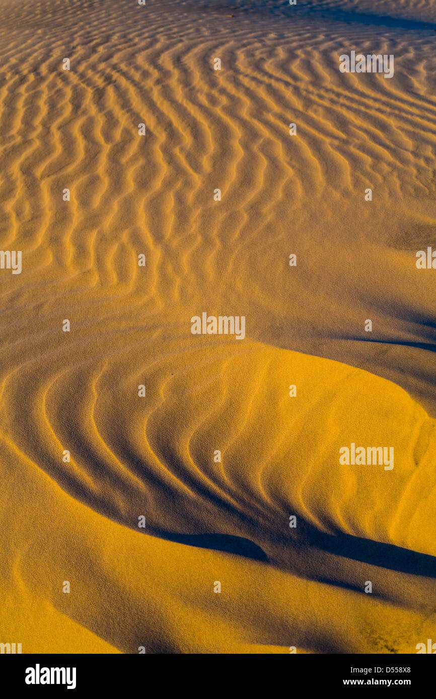 Sand dune patterns along the seashore on South Padre Island, Texas, USA ...