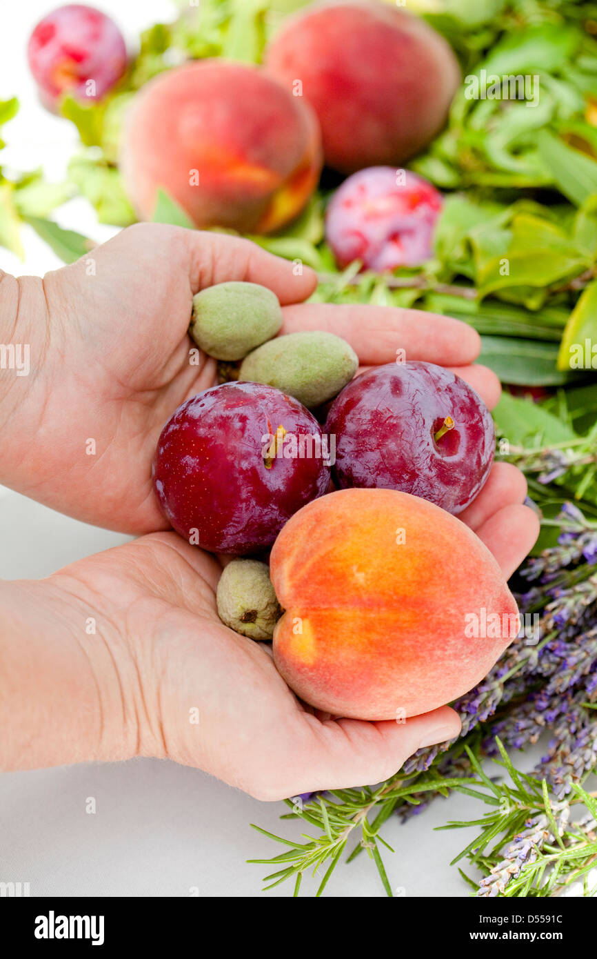 Peach and plum hi-res stock photography and images - Alamy